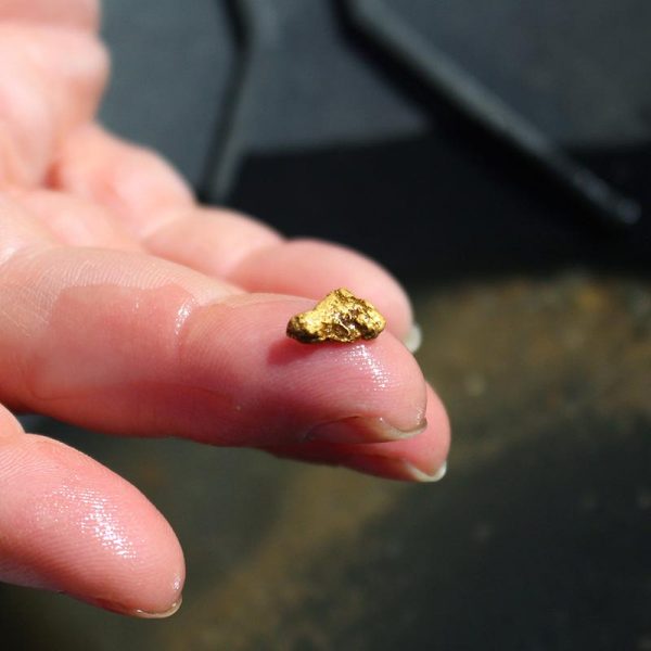 Alaska Gold Panning Tour - Fairbanks, Alaska | Gold Daughters